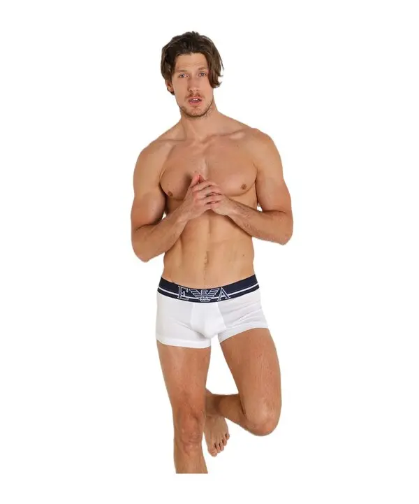 Emporio Armani Elastic Waist Underwear - Multicolor