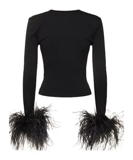 16Arlington Long Sleeve Feather Top