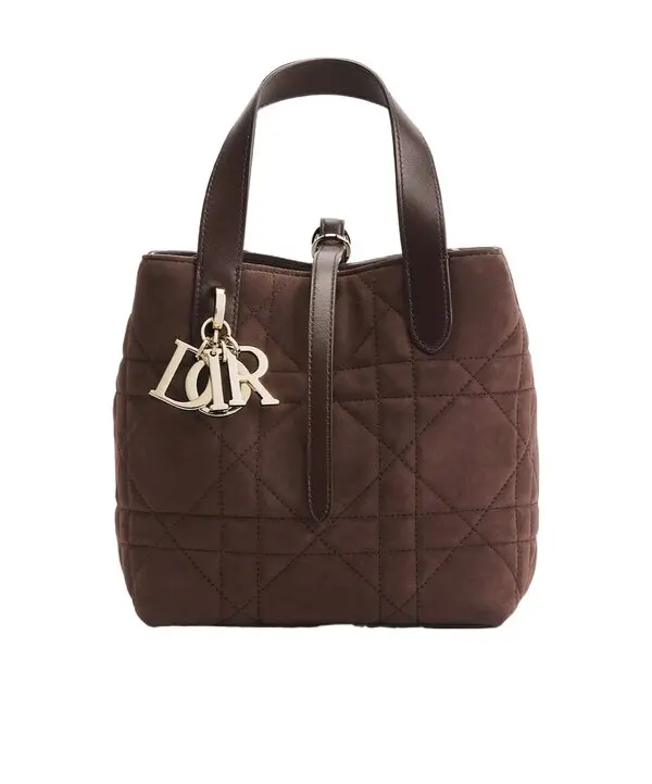 Dior Small Toujours Vertical Tote Bag