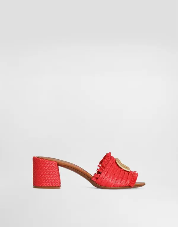 Dolce & Gabbana Raffia Mules - Multicolor