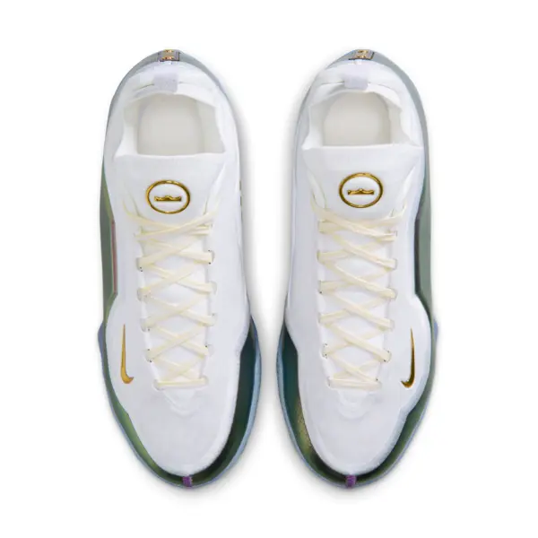 Nike Lebron Xxiii Elite "for The Record" Basketball Shoes - White