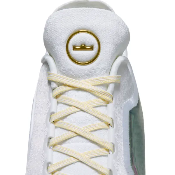 Nike Lebron Xxiii Elite "for The Record" Basketball Shoes - White