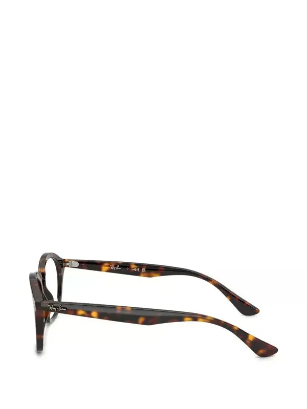 Ray-ban Round-frame Glasses
