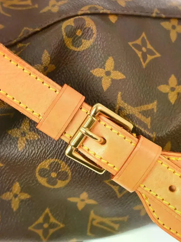 LOUIS VUITTON Montsouris Gm Backpack - Brown