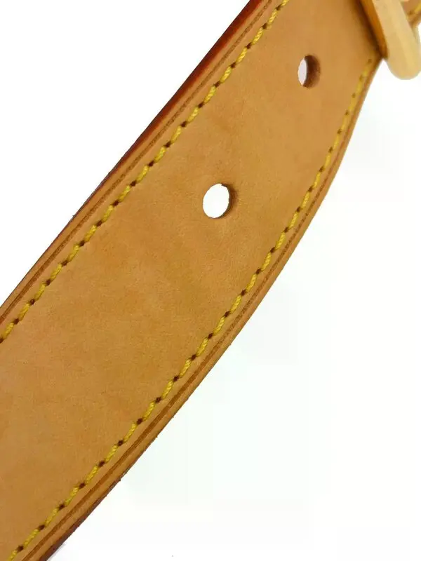 LOUIS VUITTON Galliera Pm Shoulder Bag