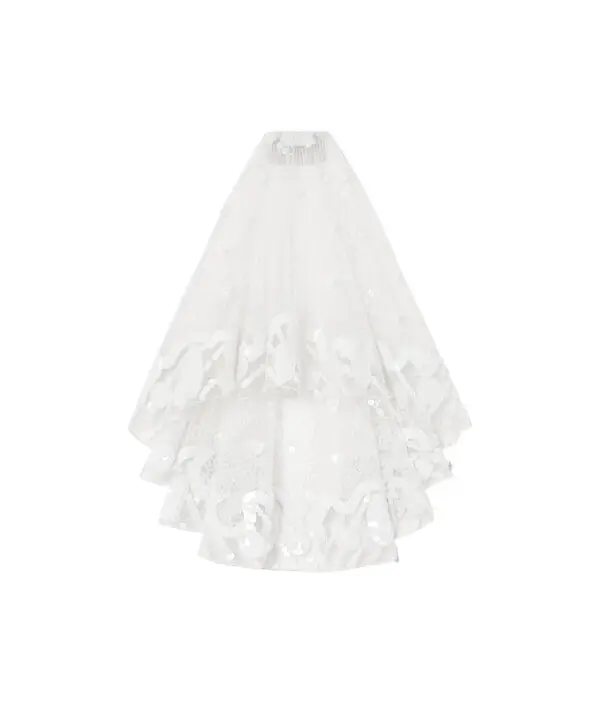 16Arlington Beaded Net Veil With Sequins - White