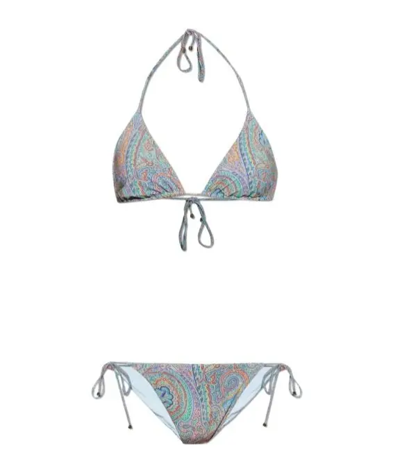 Etro Paisley Printed Triangle Bikini Set - Gray