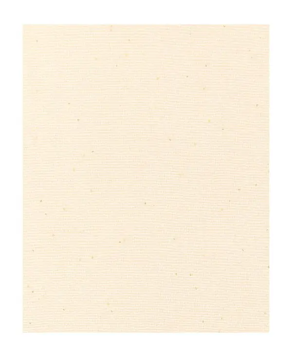 Brunello Cucinelli Metallic Trim Scarf