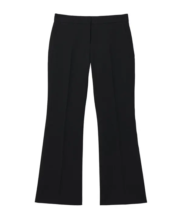 Alexander McQueen Pleated Tailored Trousers