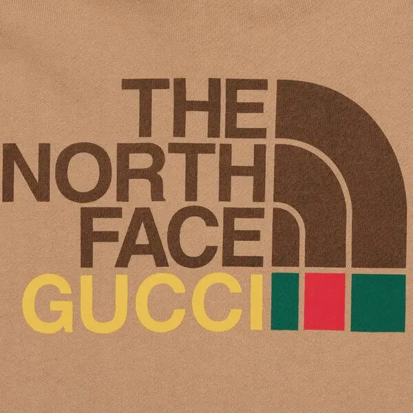 Gucci The North Face X Logo Hoodie
