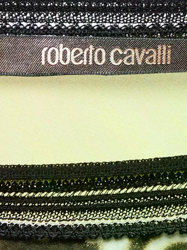 Roberto Cavalli Leopard Print One-shoulder Top