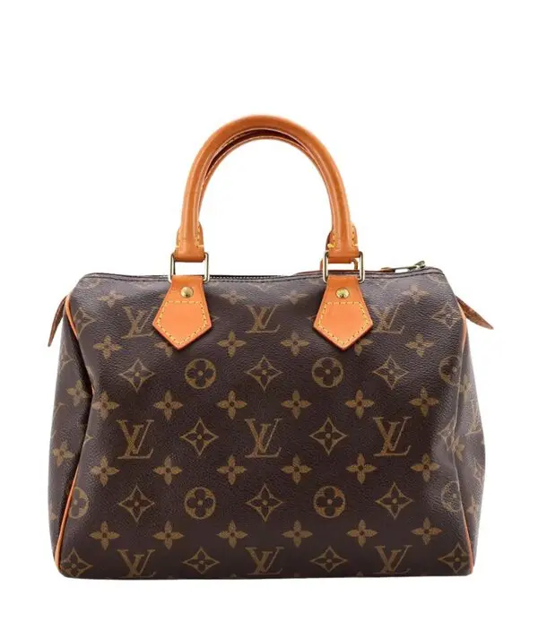 LOUIS VUITTON Speedy 25 Satchel Handbag