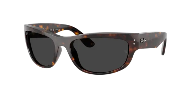 Ray-ban Mega Balorama Sunglasses - Polarized Black