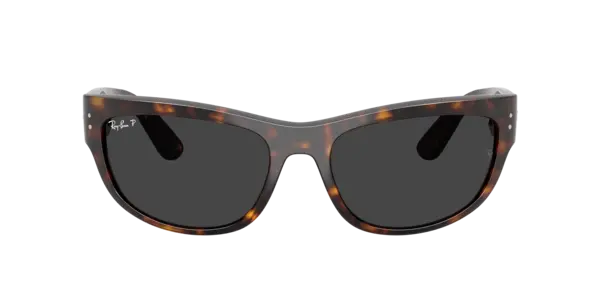 Ray-ban Mega Balorama Sunglasses - Polarized Black