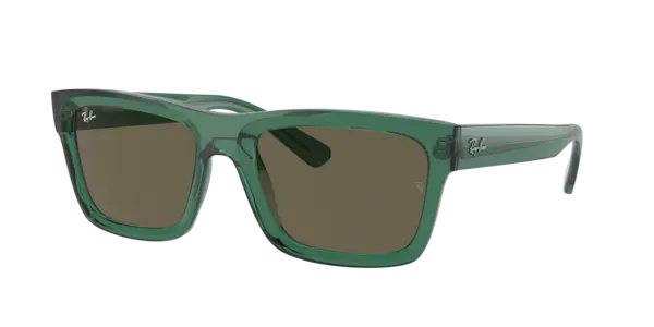 Ray-ban Warren Bio-based Sunglasses - Dark Brown