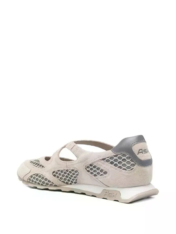 Ash Ballet Flats