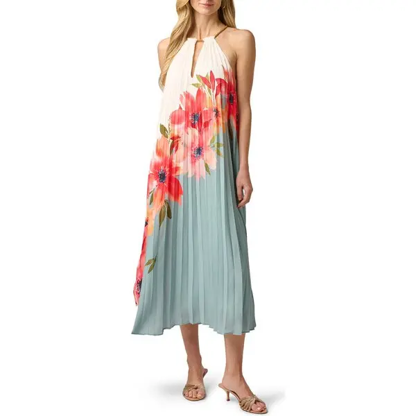 Adrianna Papell Sleeveless Floral Print Pleated Chiffon Maxi Dress - Blue Multi