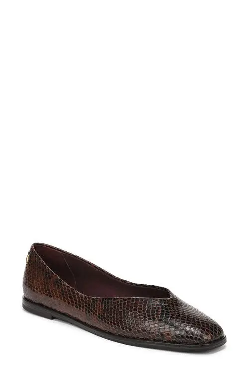 Franco Sarto Tesia Square Toe Flat - Dark Brown