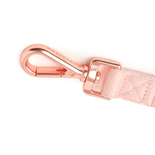 DOGISTRY Metro Hands-free Leash