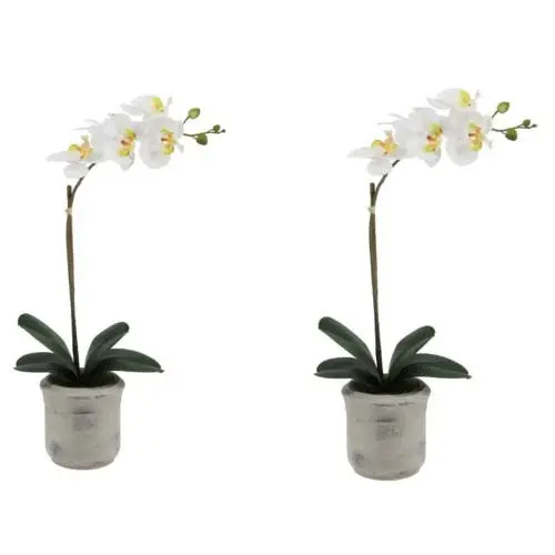 CG HUNTER 22" Artificial Phalaenopsis Orchids Set Of 2