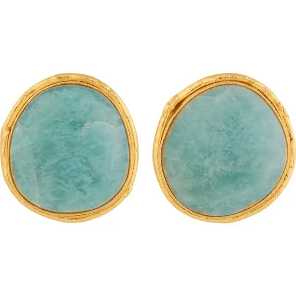 Sylvia Toledano Macaron Stud Earrings With - Amazonite