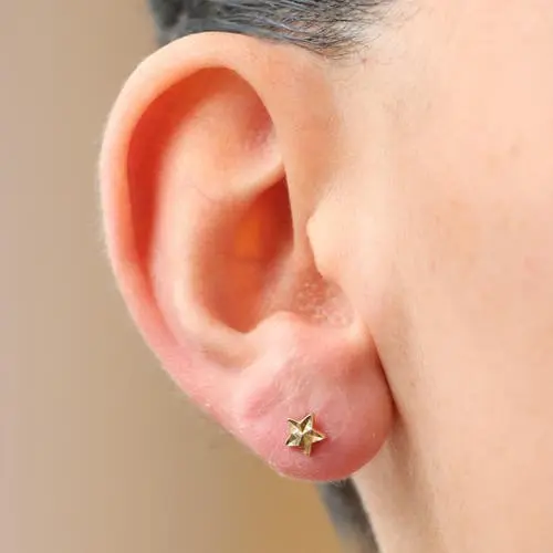 THE LOVERY FINE JEWELRY 14k Yellow Fluted Puffy Star Stud Earrings
