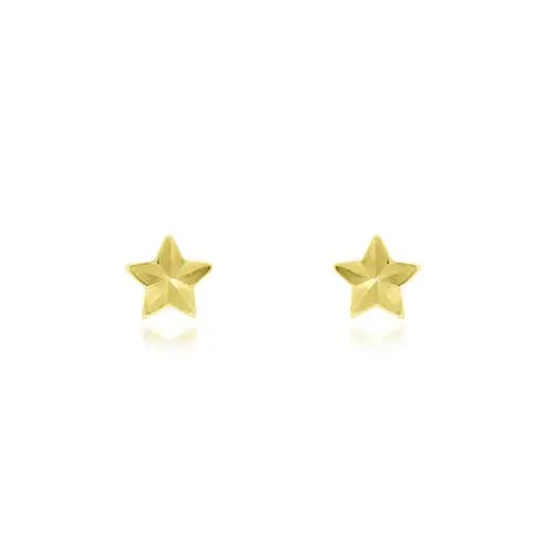 THE LOVERY FINE JEWELRY 14k Yellow Fluted Puffy Star Stud Earrings