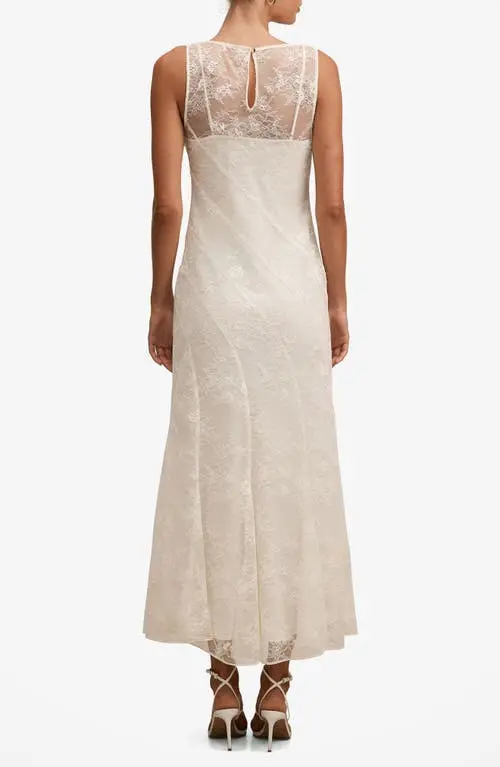 EVER NEW Jenna Paneled Lace Midi Dress