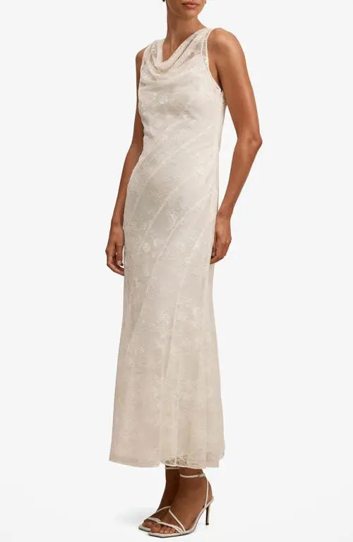 EVER NEW Jenna Paneled Lace Midi Dress