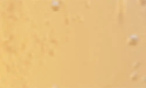 IUNIK Propolis Vitamin Synergy Serum