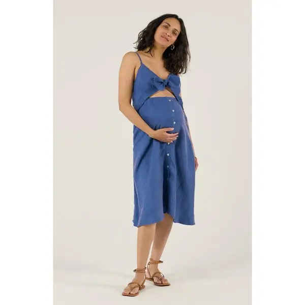 CACHE COEUR Nolwenn Maternity & Nursing Knot Dress - Blue
