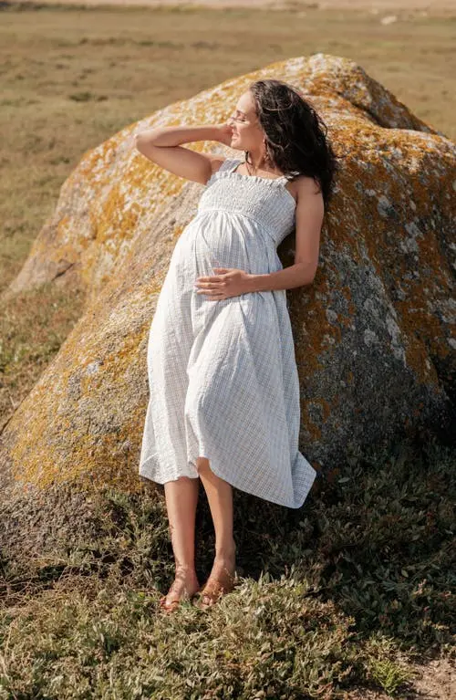 CACHE COEUR Maternity And Nursing Midi Smock Dress Alice