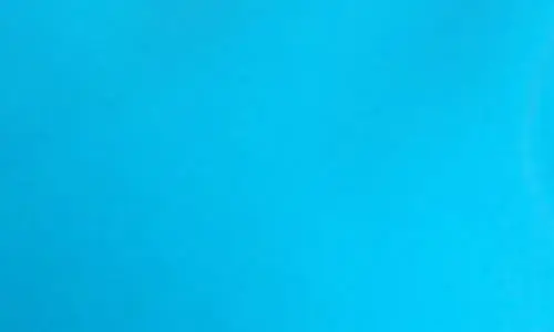 KASPER Sleeveless Tie Neck Blouse - Bright Azul