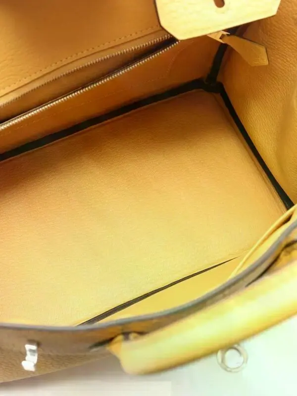 Hermès 25 Birkin Tote Bag