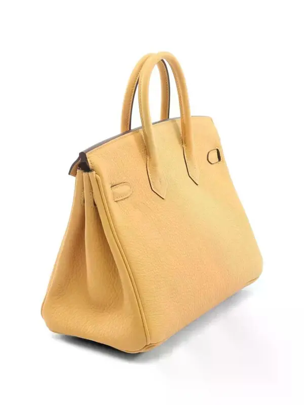 Hermès Birkin 25 Handbag