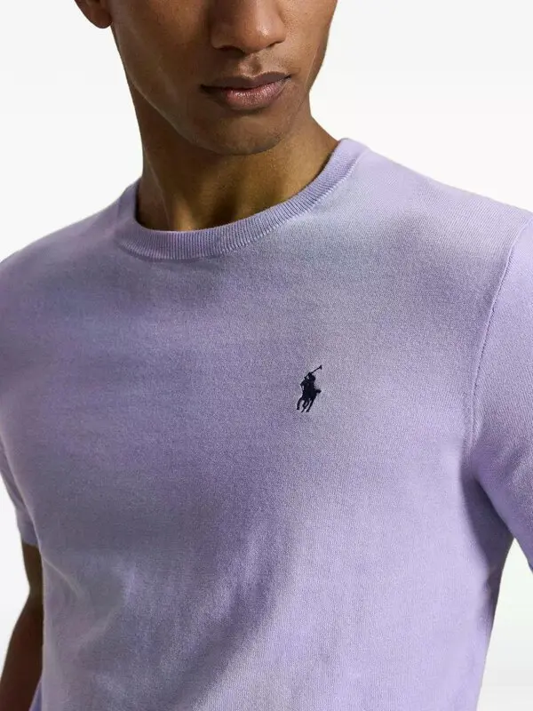 Polo Ralph Lauren Fine-knit V-neck Sweater