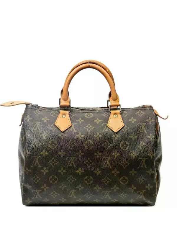 LOUIS VUITTON Speedy 30 Tote Bag