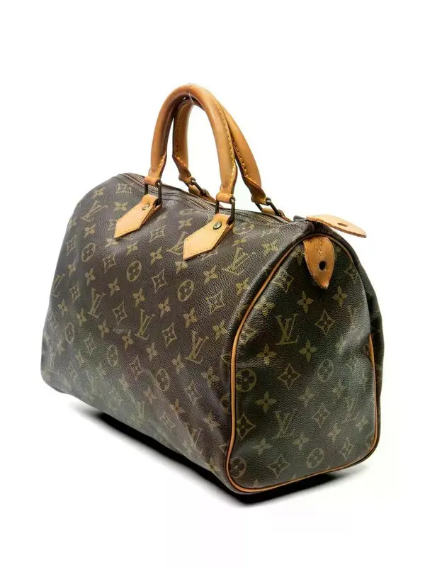 LOUIS VUITTON Speedy 30 Tote Bag