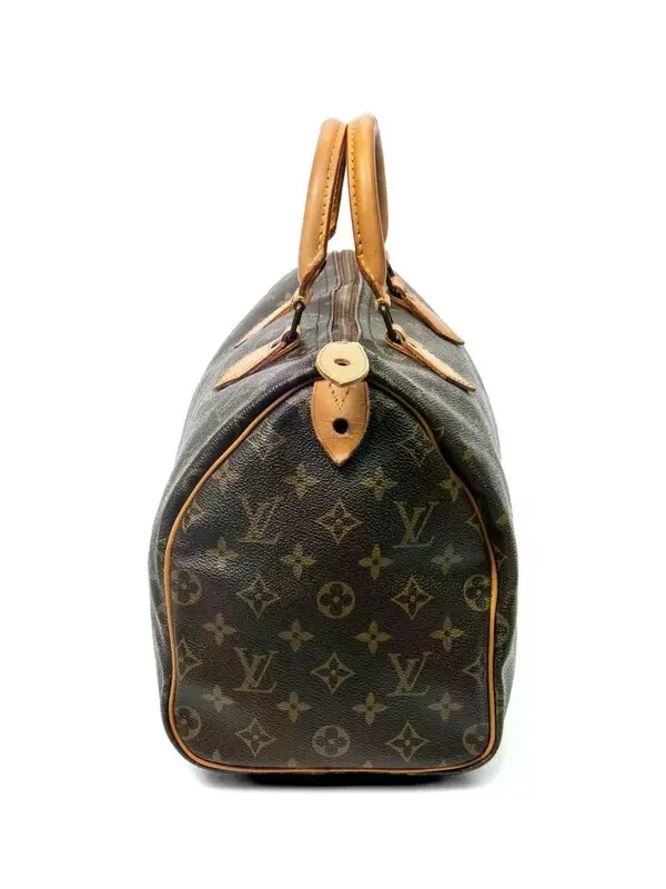 LOUIS VUITTON Speedy 30 Tote Bag