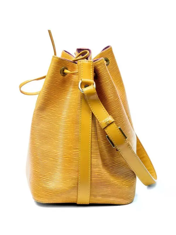 LOUIS VUITTON Noé Pm Bucket Bag