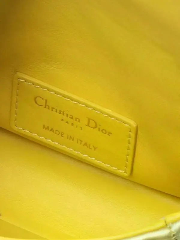 Dior Caro Micro Shoulder Bag