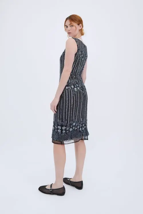 RAISHMA Embellished Tulle Dress With Sequins And Fringe
