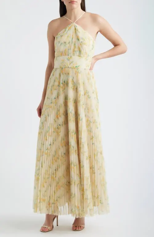 HUTCH Blaine Pleated Floral Halterneck Gown