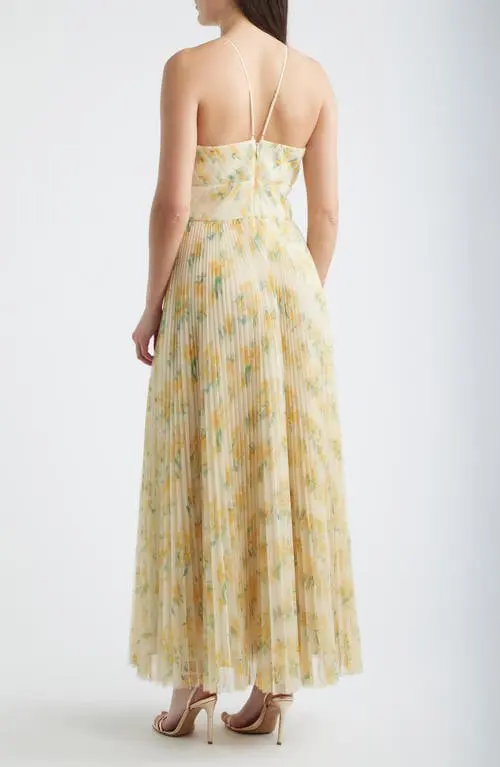 HUTCH Blaine Pleated Floral Halterneck Gown