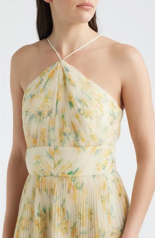 HUTCH Blaine Pleated Floral Halterneck Gown