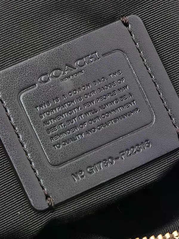 COACH Metallic Leather Tote Bag