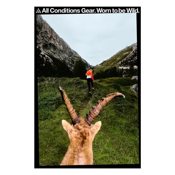 Nike Ibex" Poster