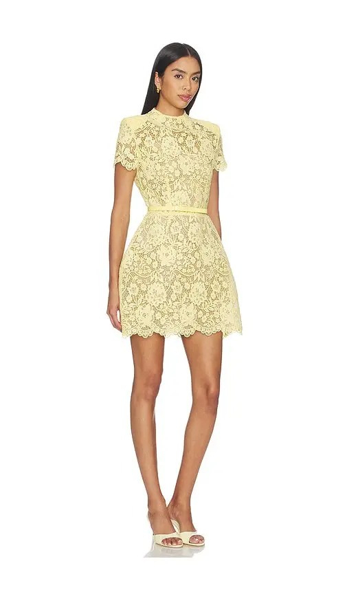 NADINE MERABI Milly Lace Dress