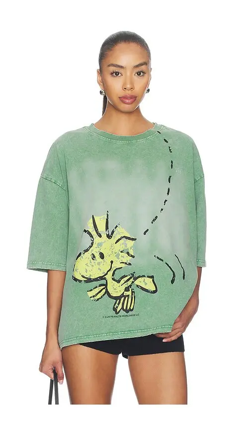 VINTAGE HEAVY X Peanuts Woodstock Graphic Tee
