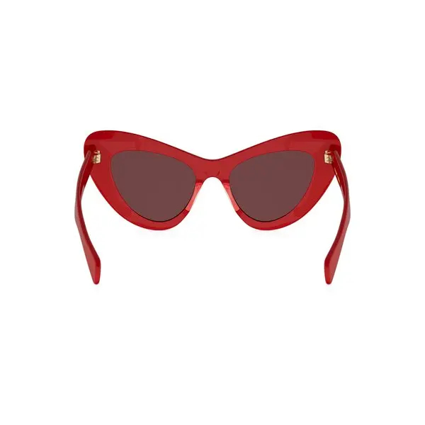 Celine Cat Eye Full Rim Sunglasses